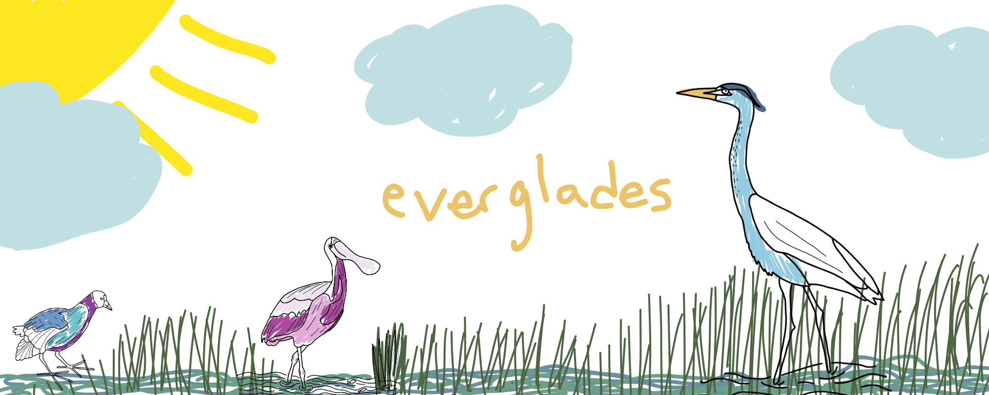 EVERGLADES NATIONAL PARK – COLORING PAGES
