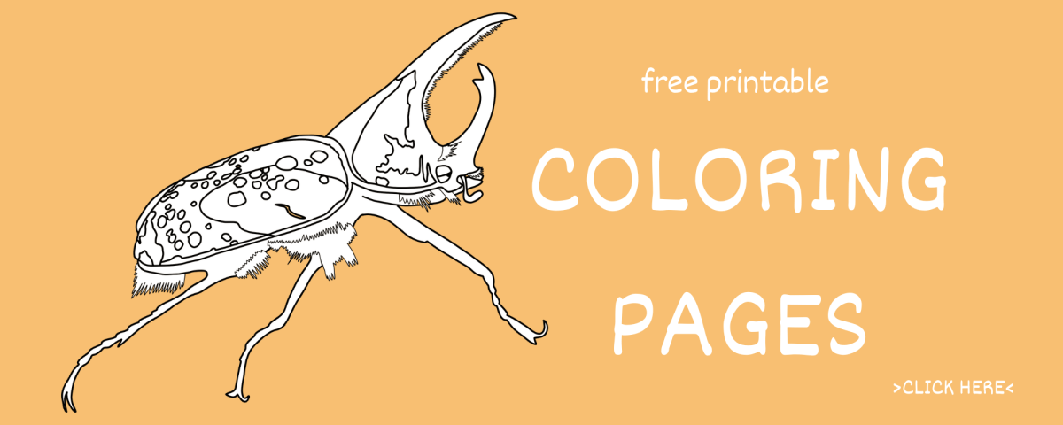 ZION NATIONAL PARK – COLORING PAGES